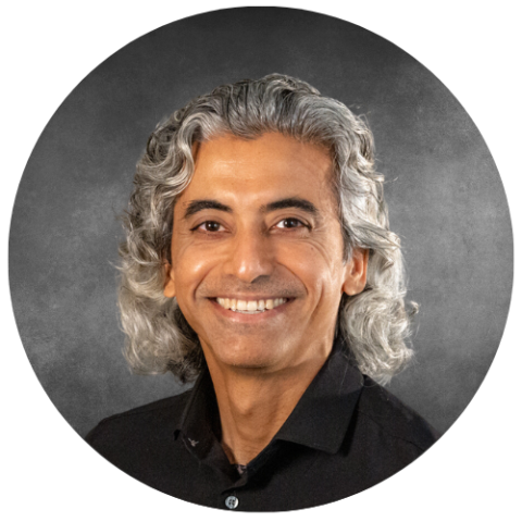 journeys of immigrant entrepreneurs, South Asian